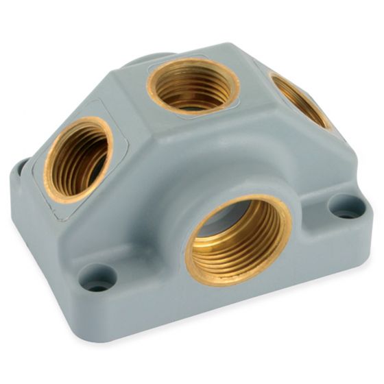 Aignep | Manifolds | Compressed Air