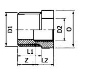 ABS Reducing Bush | Inch | Threaded
